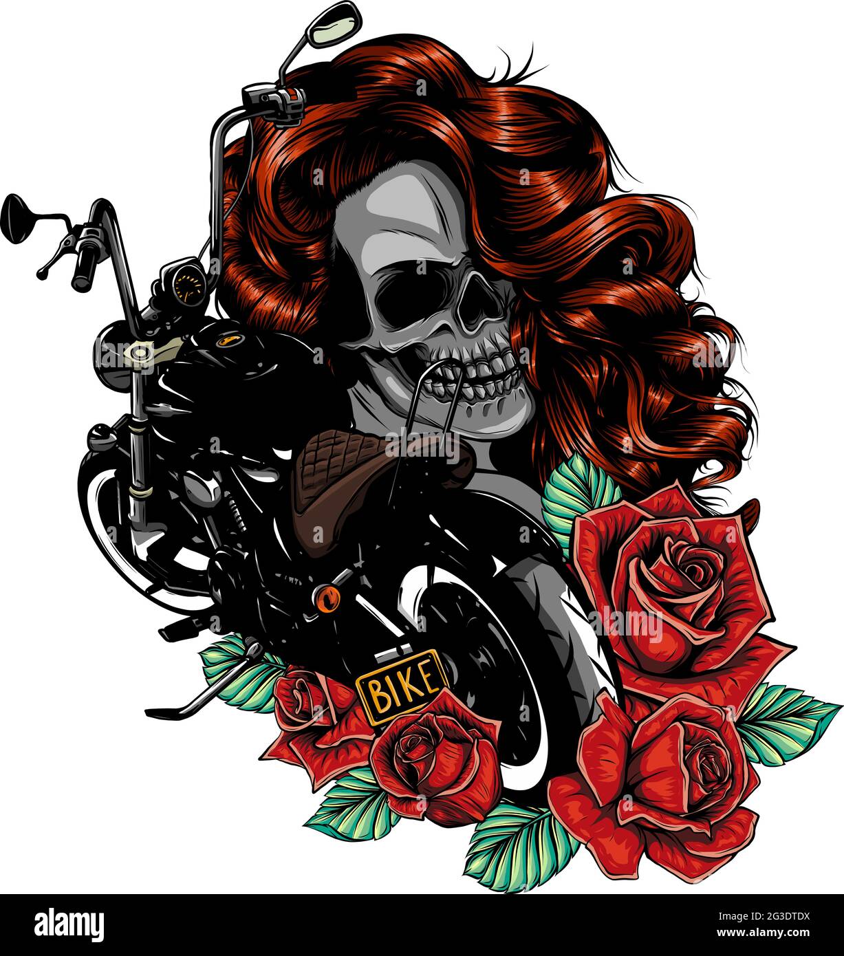 vector illustration Motorcycle with woman skull and roses Stock Vector ...