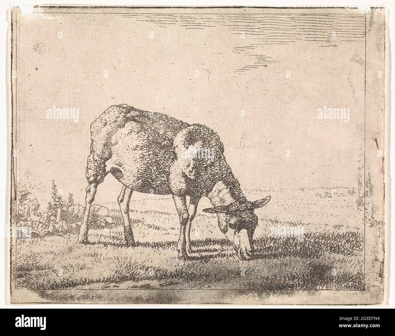 Life size sheep hi-res stock photography and images - Alamy