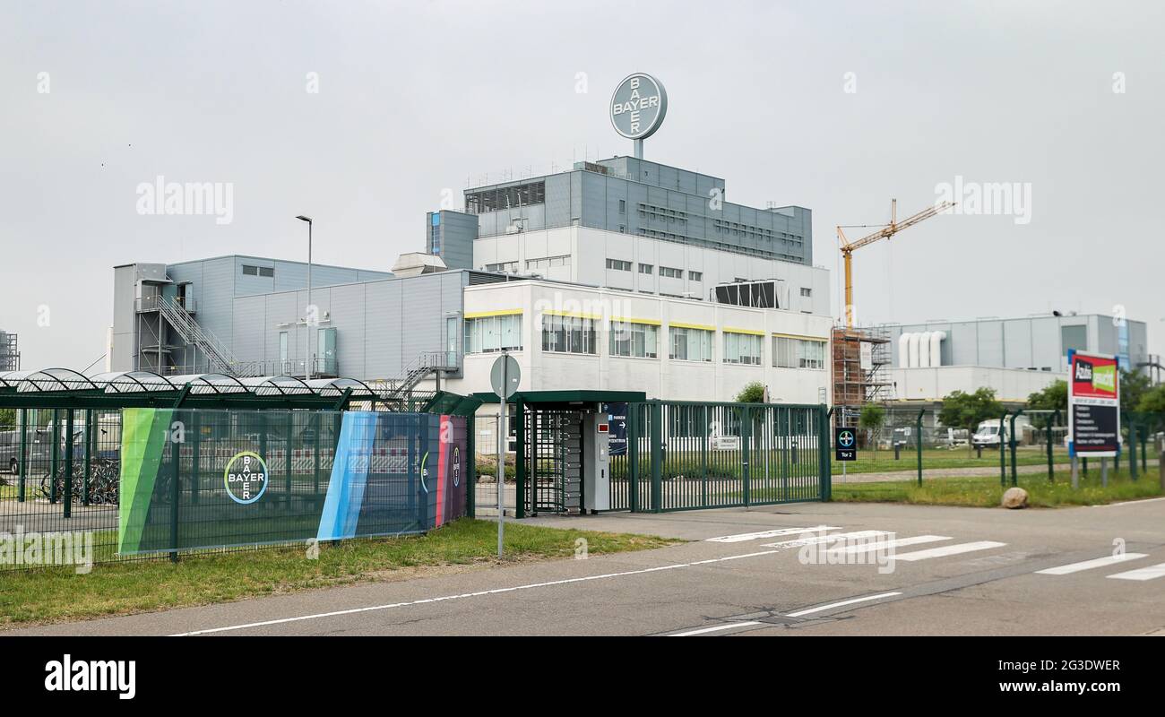 Bitterfeld Wolfen, Germany. 08th June, 2021. The Bayer Bitterfeld GmbH ...