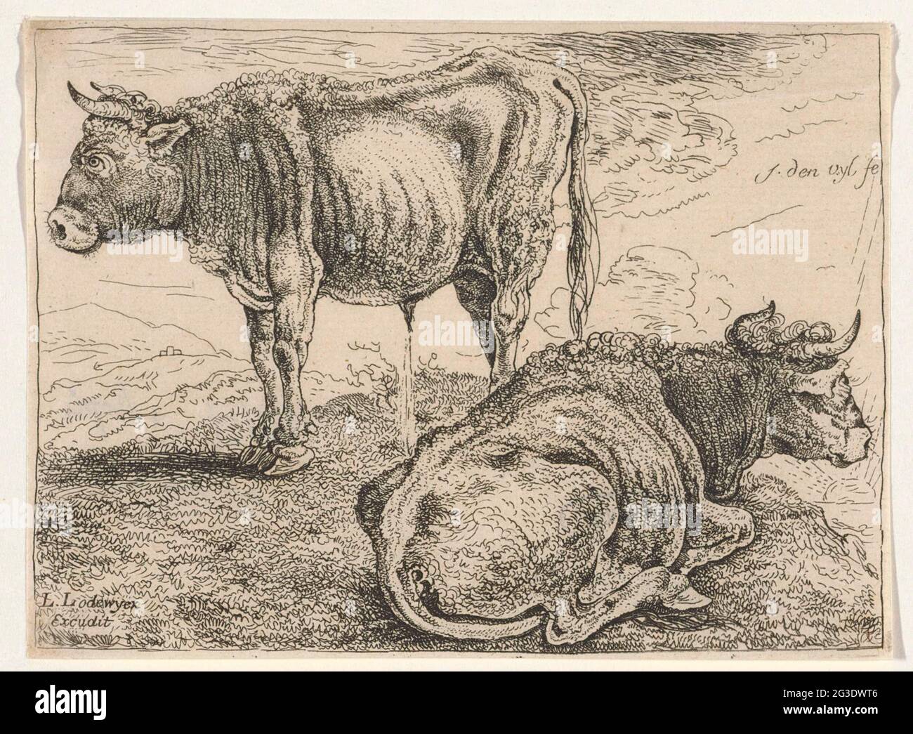 Two oxen. A standing and lying os in a landscape; On the right in the ...