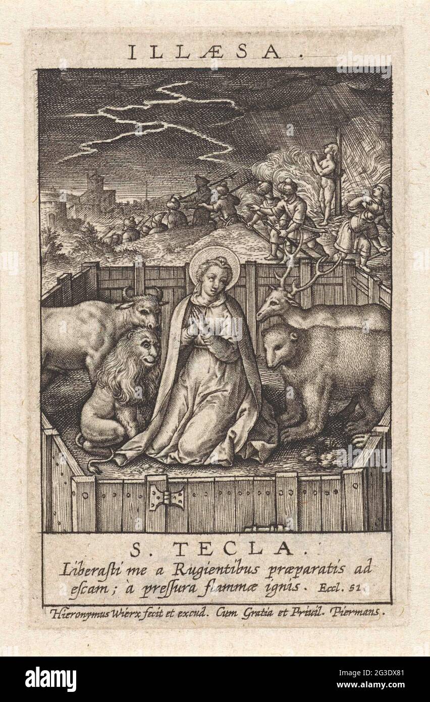 Intact bull hi-res stock photography and images - Alamy