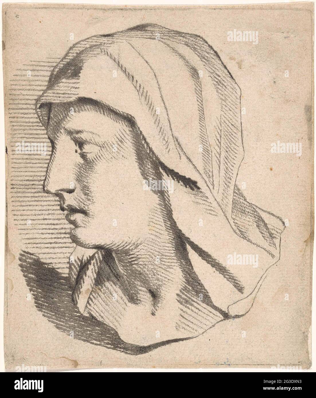 Woman's bra, with veil on the shoulders Stock Photo - Alamy