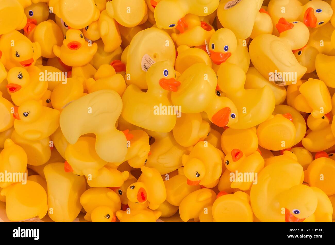 Many plastic duck toys on a market in Dresden, Germany Stock Photo - Alamy