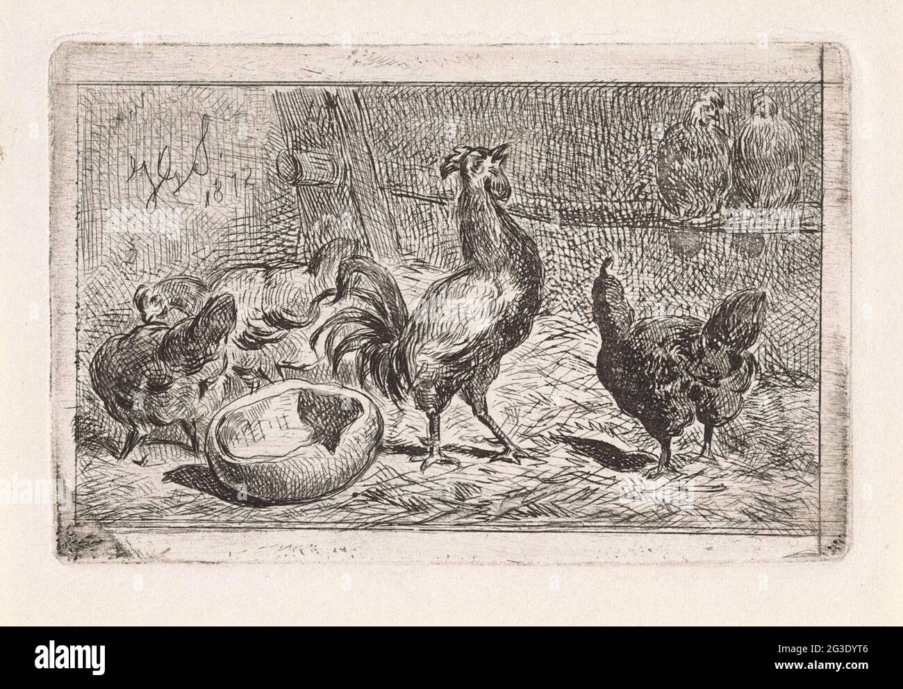 Farmyard chickens gathering feeding hi-res stock photography and images ...