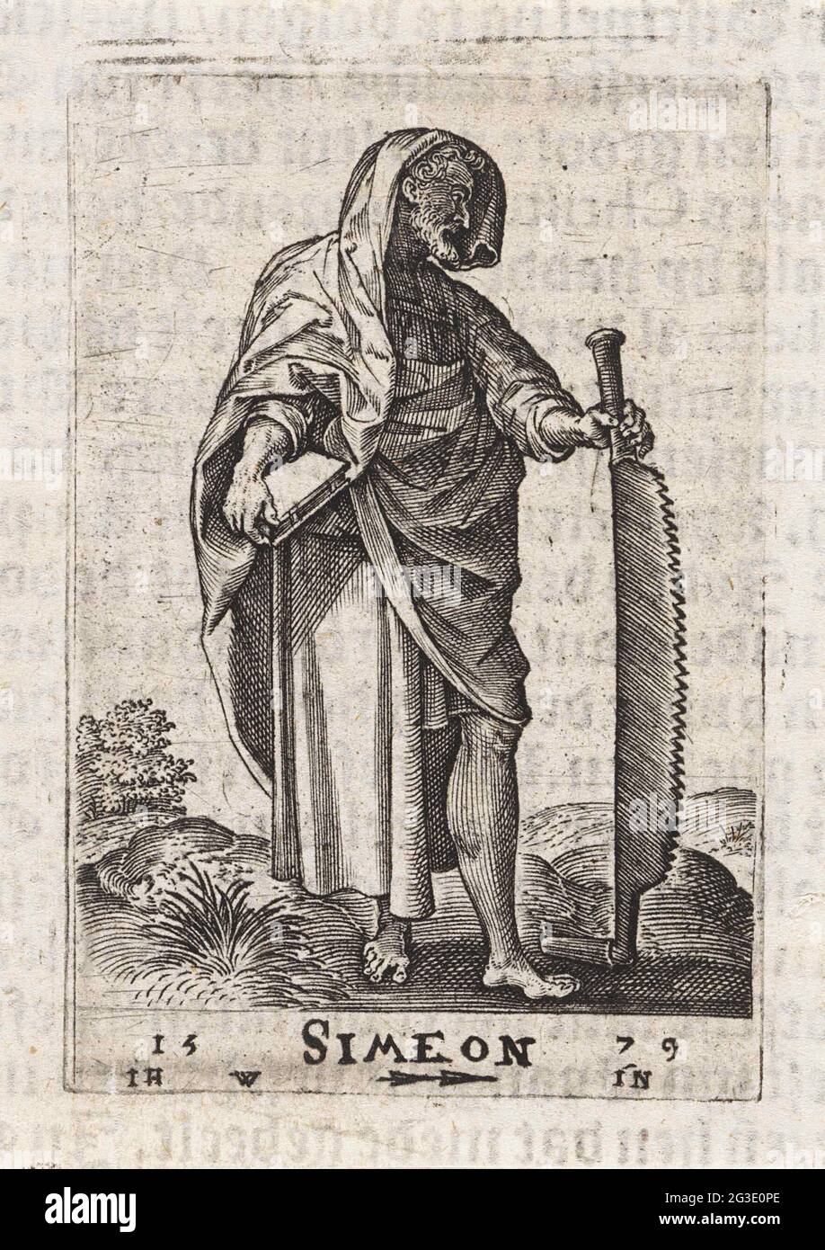 Zelotes High Resolution Stock Photography and Images - Alamy