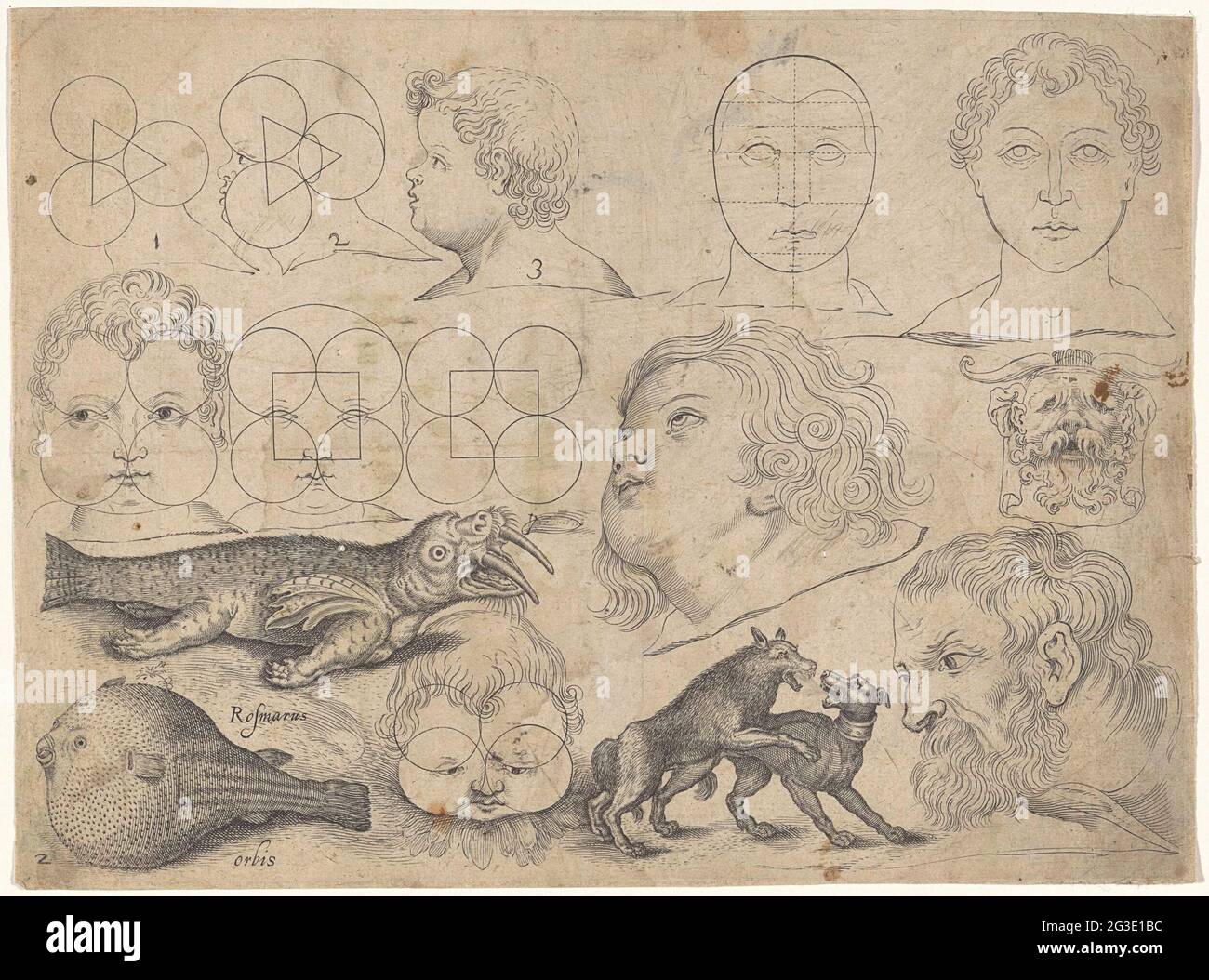 Study sheet with drawing examples: figures, animals; Drawing examples ...
