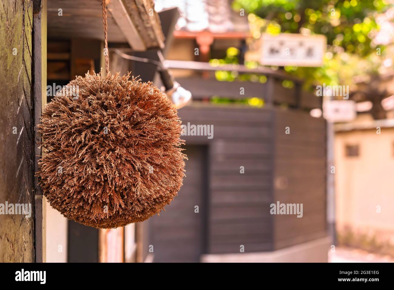 Close up on a Sugidama ball made of dried Japanese cedar or redwood ...