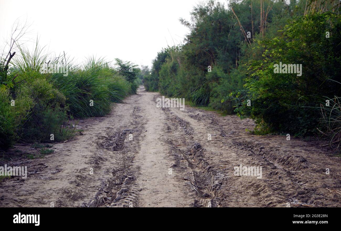 Agriculture fields Road at Village Stock Photo - Alamy