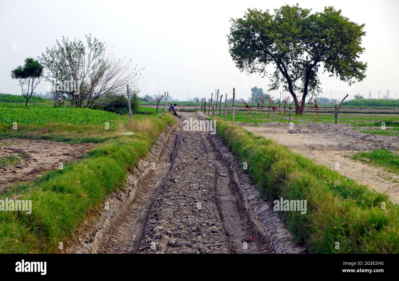 Agriculture fields Road at Village Stock Photo - Alamy