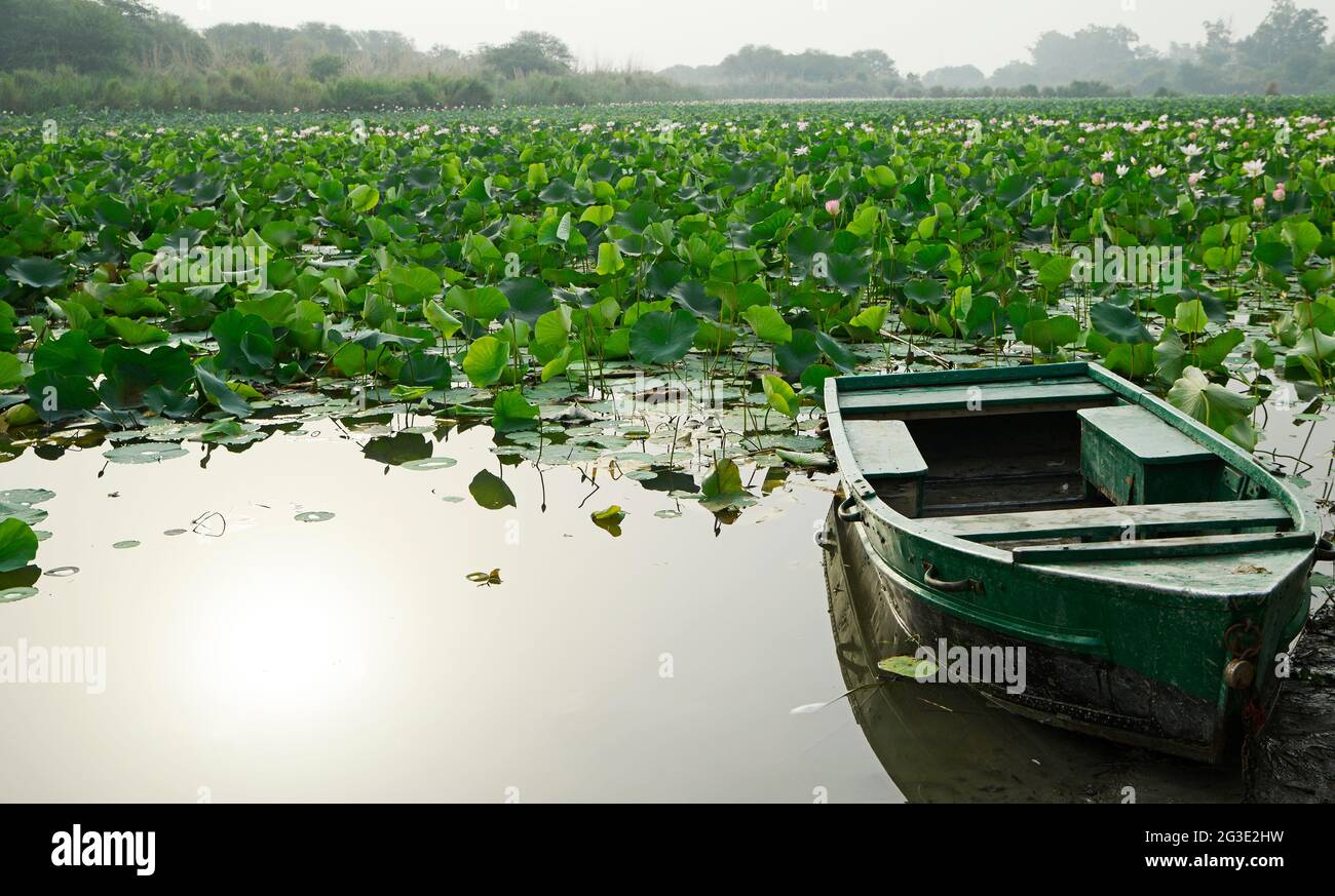 An empty boat in the bank of the river Stock Photo - Alamy