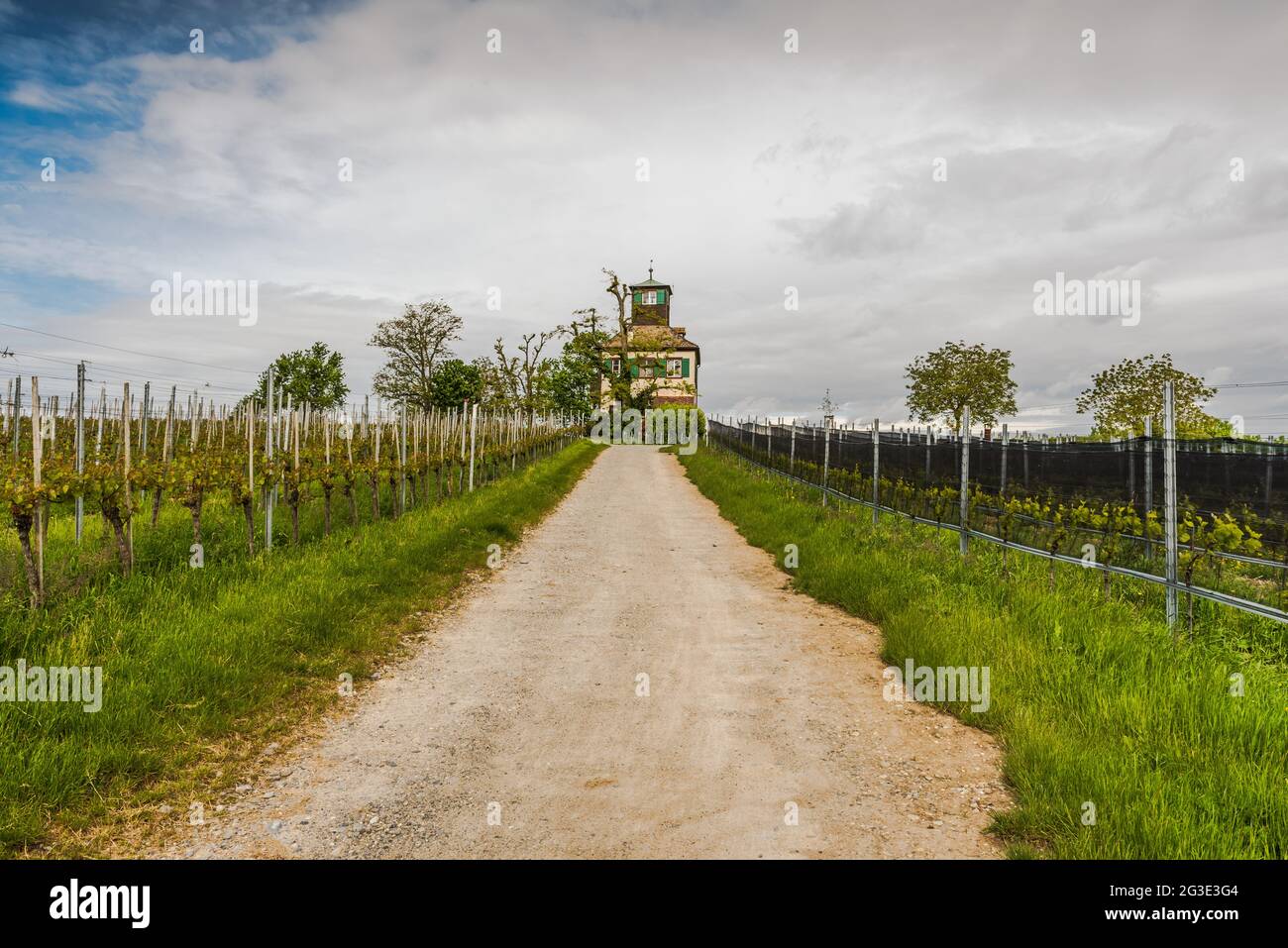 Hochwart on Reichenau Island, Lake Constance, Baden-Wuerttemberg ...