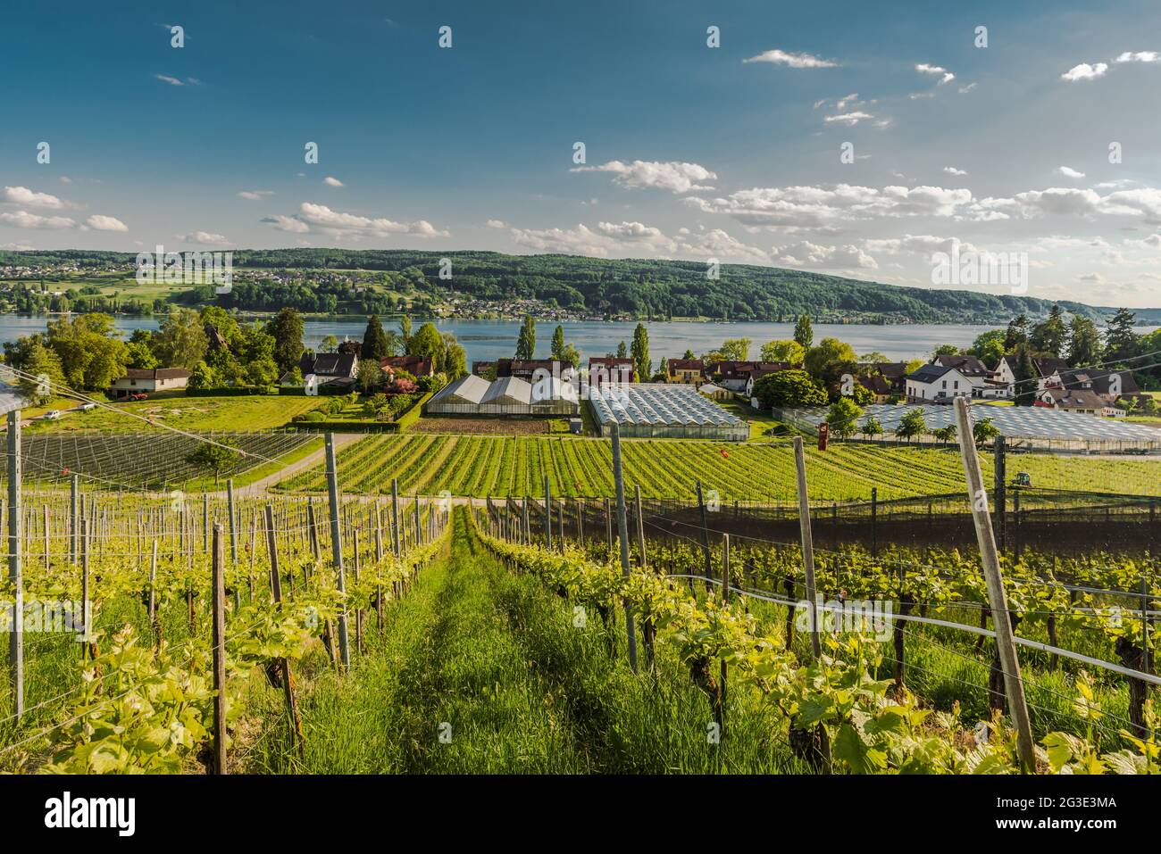 Reichenau island hi-res stock photography and images - Alamy