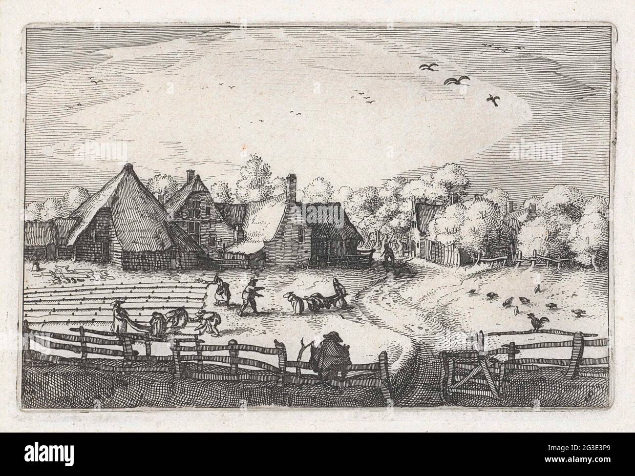 Bleed fields at the Haarlem Wood; Faces at Haarlem. View of the pale ...