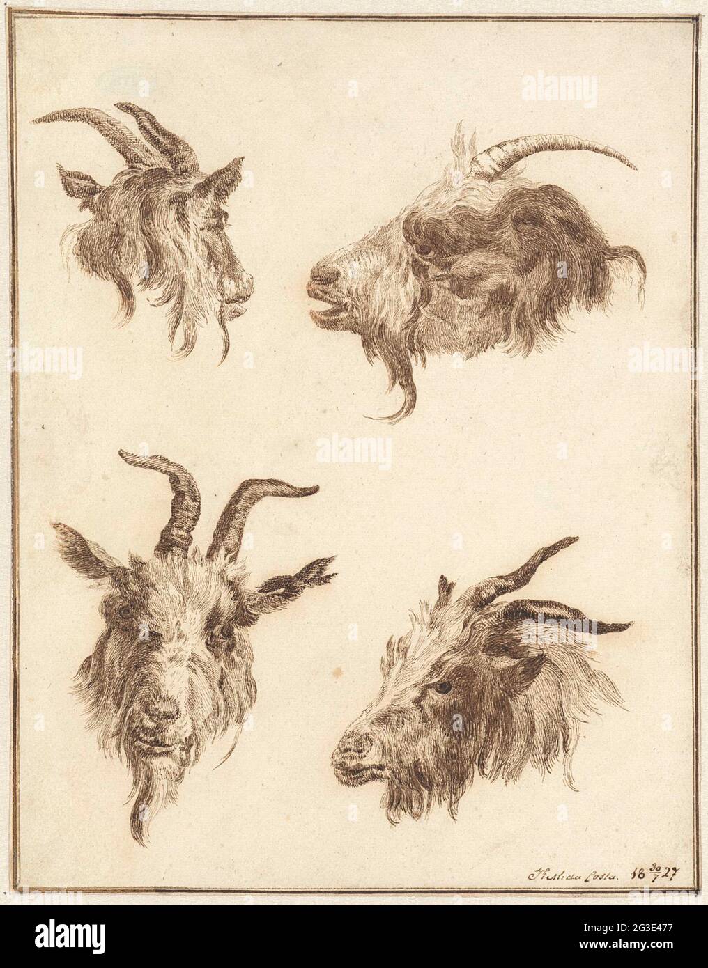 Four studies of goat heads Stock Photo - Alamy