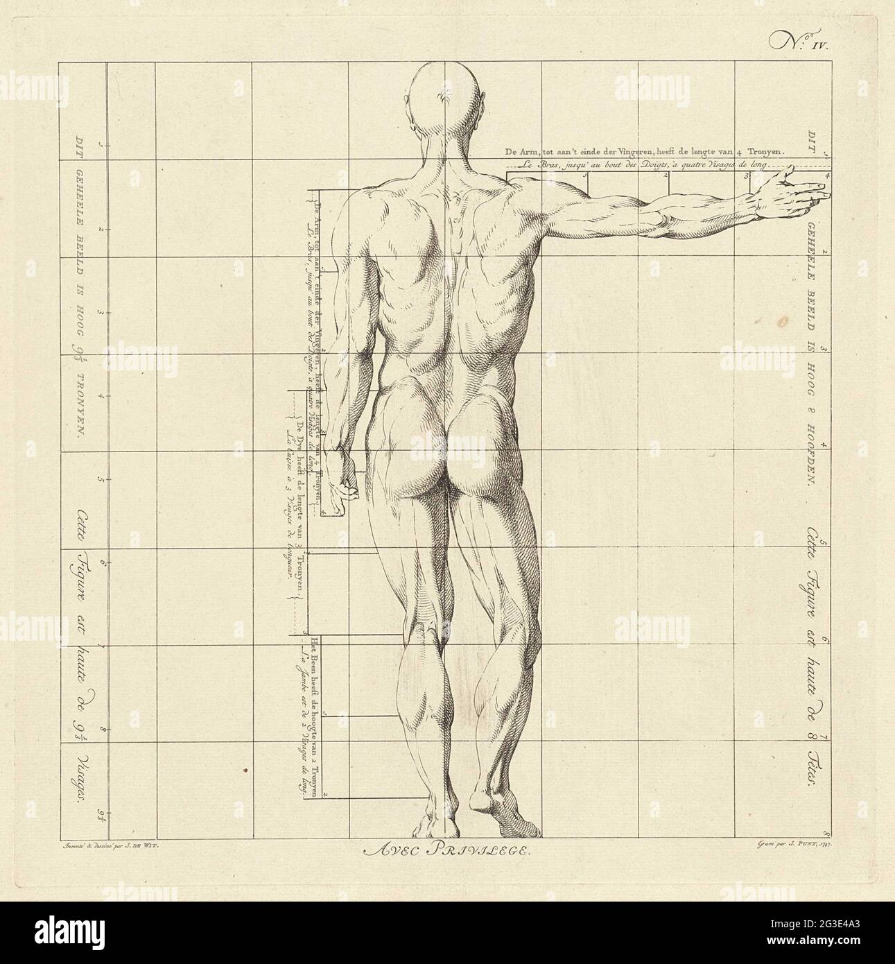 Proportions du corps humain hi-res stock photography and images - Alamy
