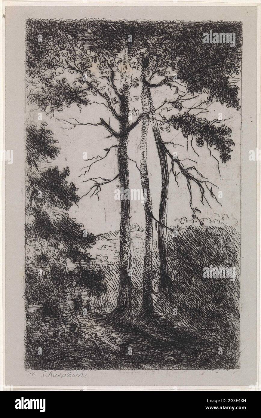 Three trees in a landscape Stock Photo - Alamy
