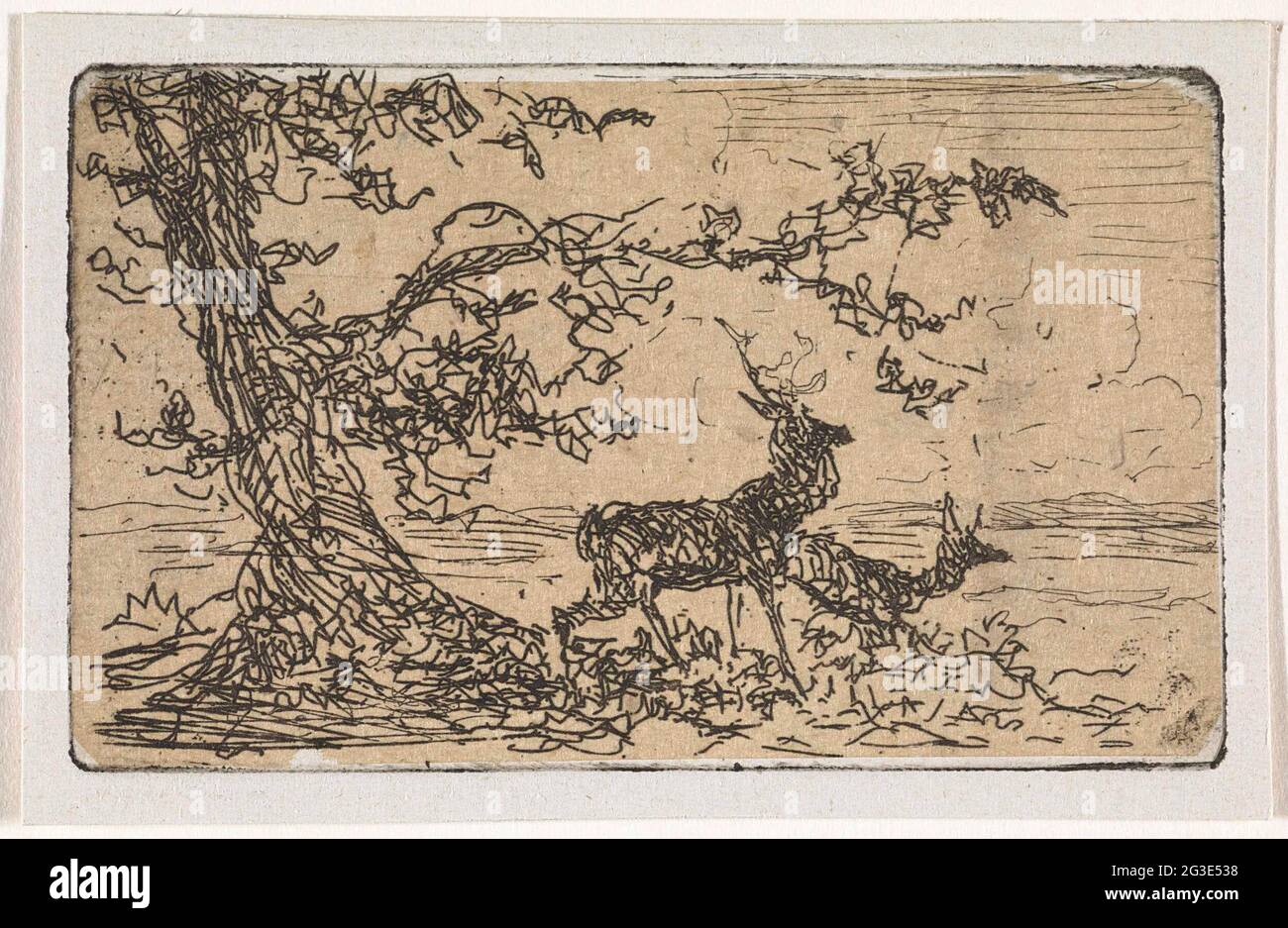 Two deer under a tree Stock Photo - Alamy