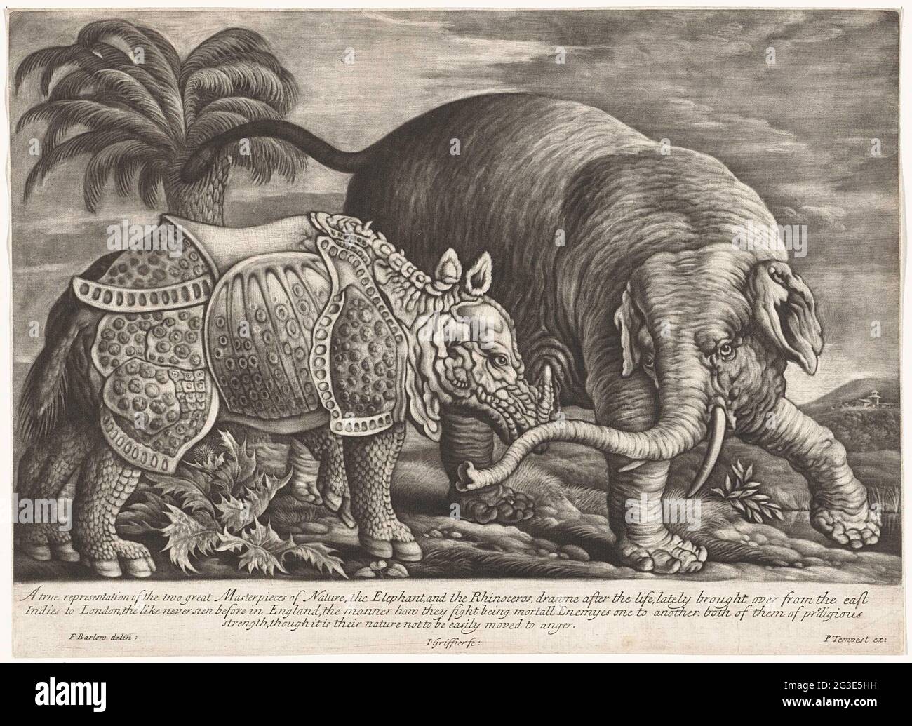 Elephant and rhino; A True Representation of the Two Great Masterpieces ...