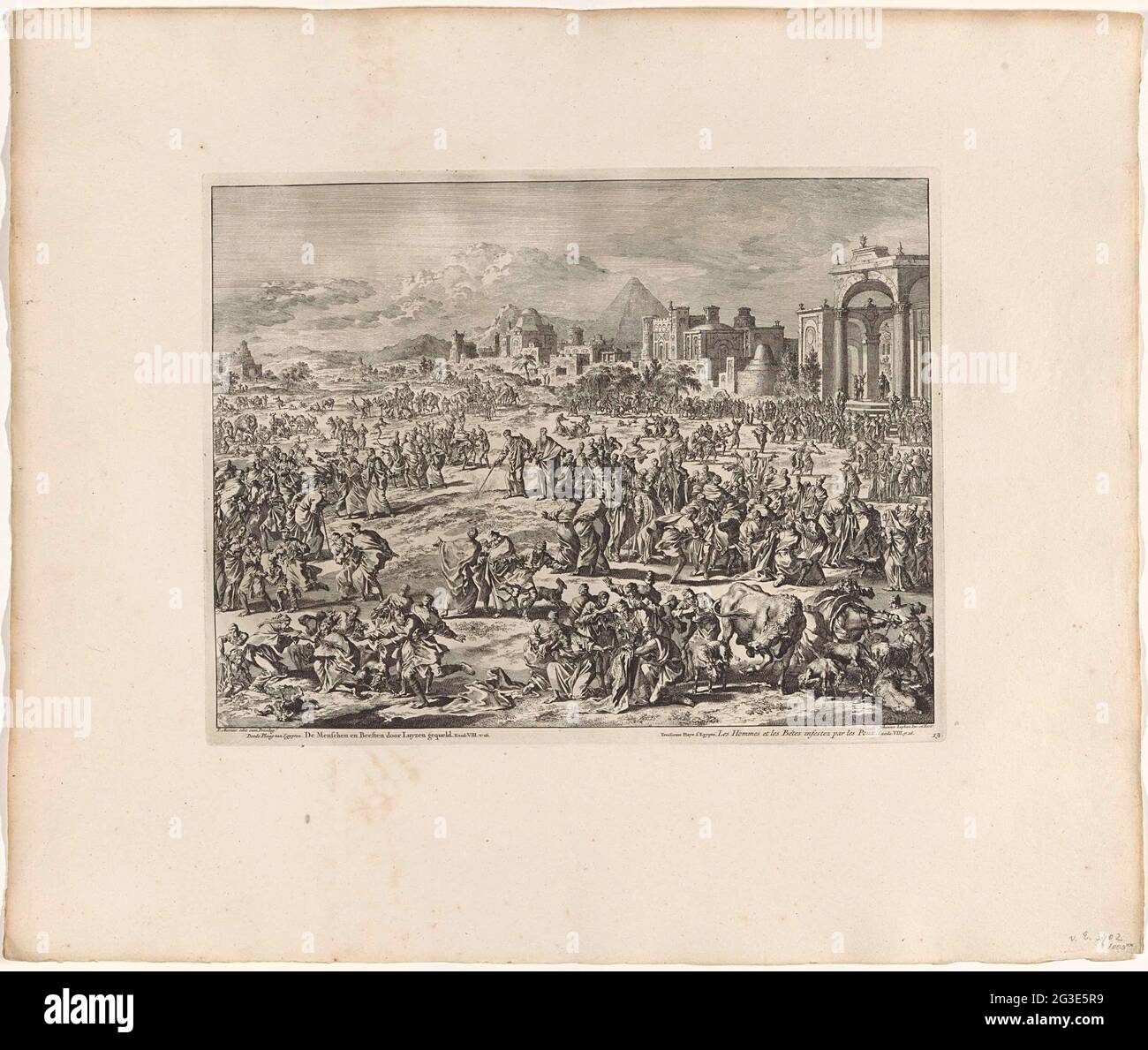 Dust lice hi-res stock photography and images - Alamy