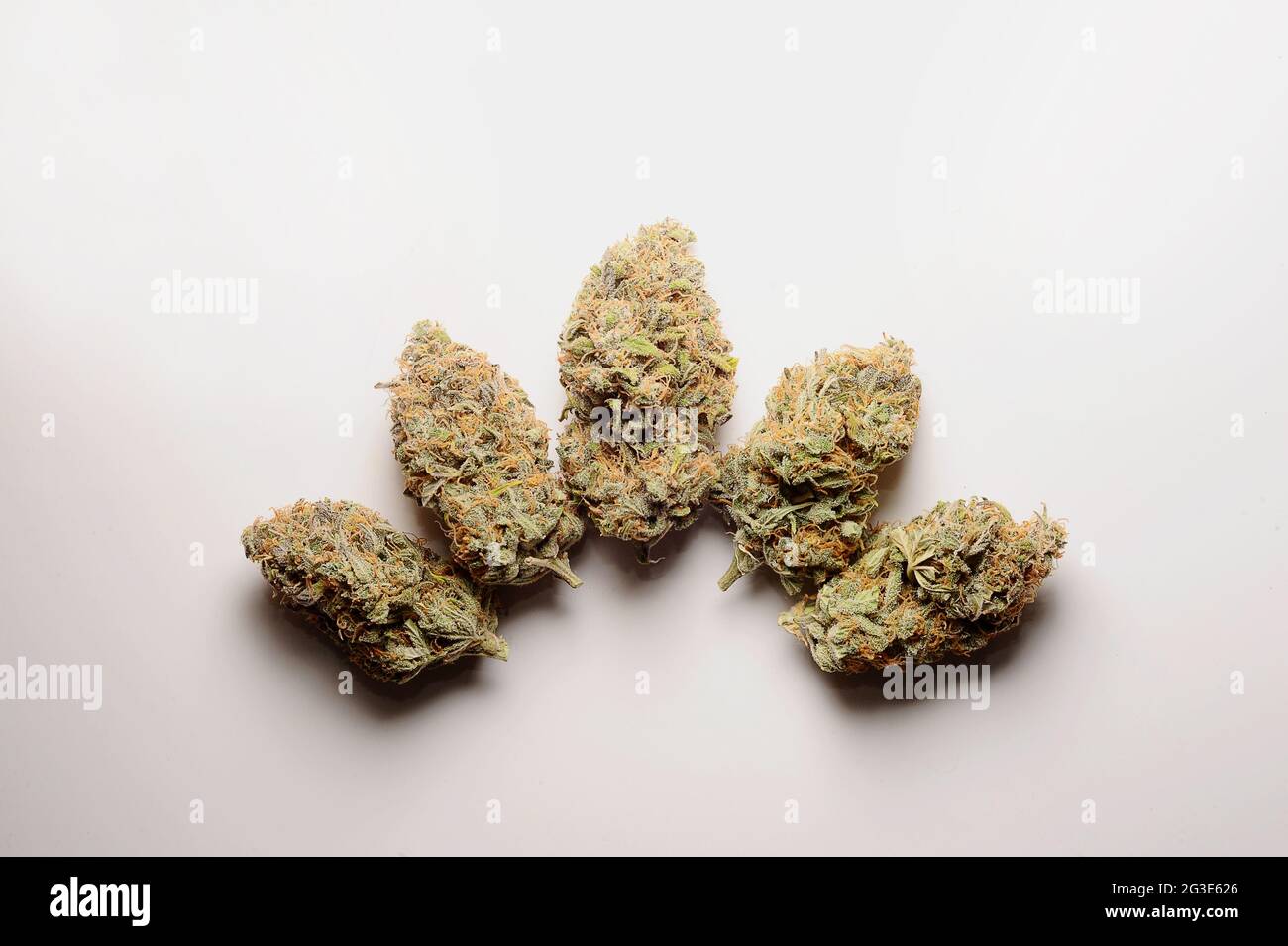 Medical Cannabis Buds