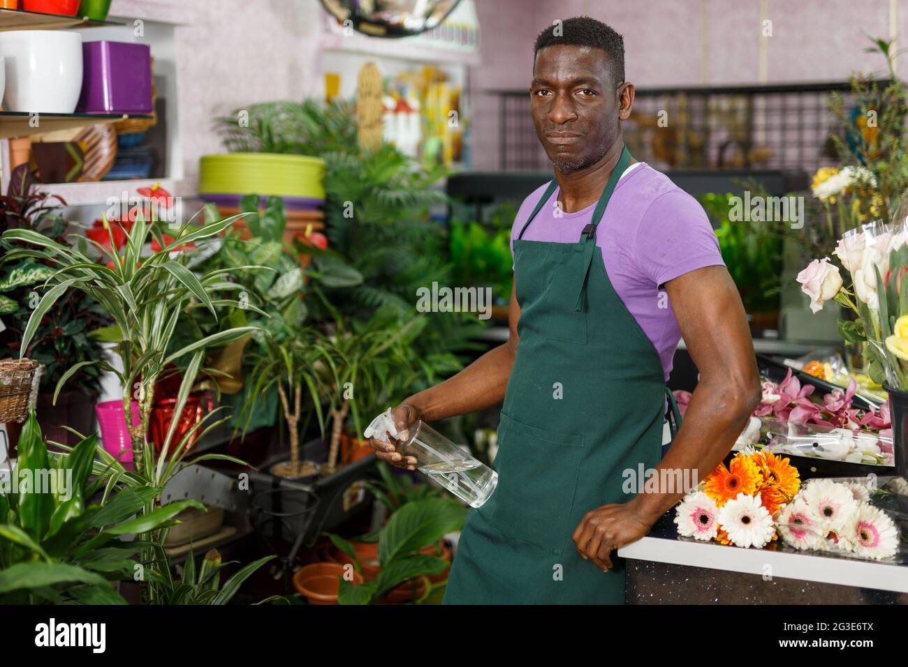 Experienced male florist in hi-res stock photography and images - Alamy