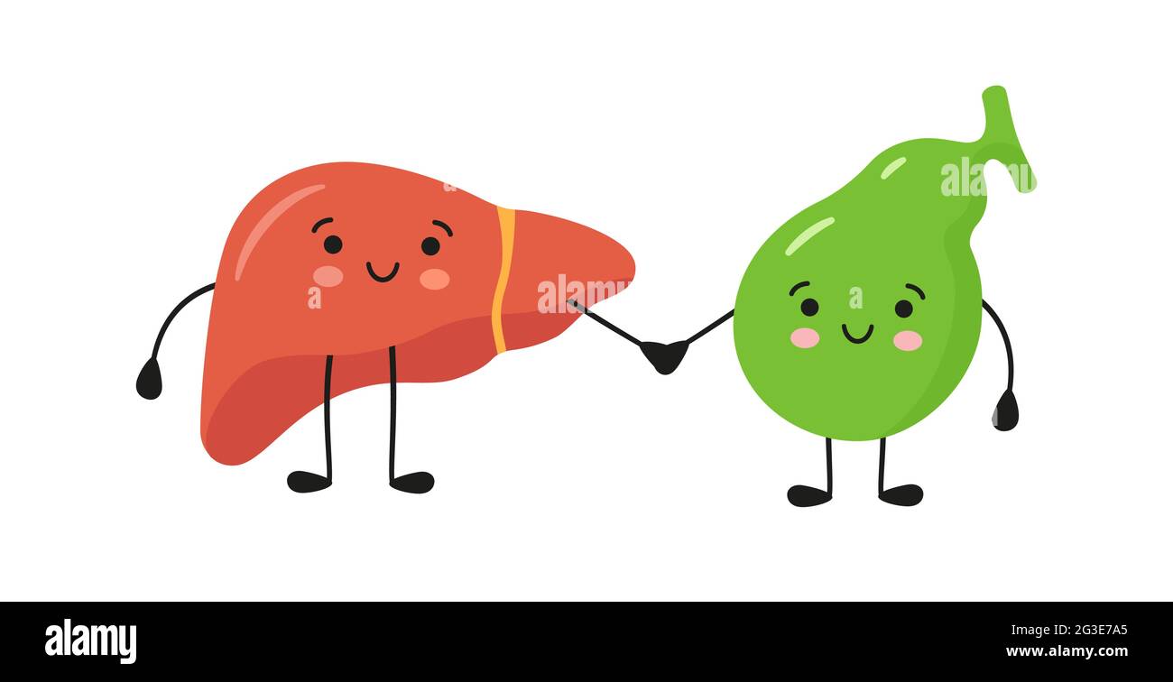 Gallbladder Clipart