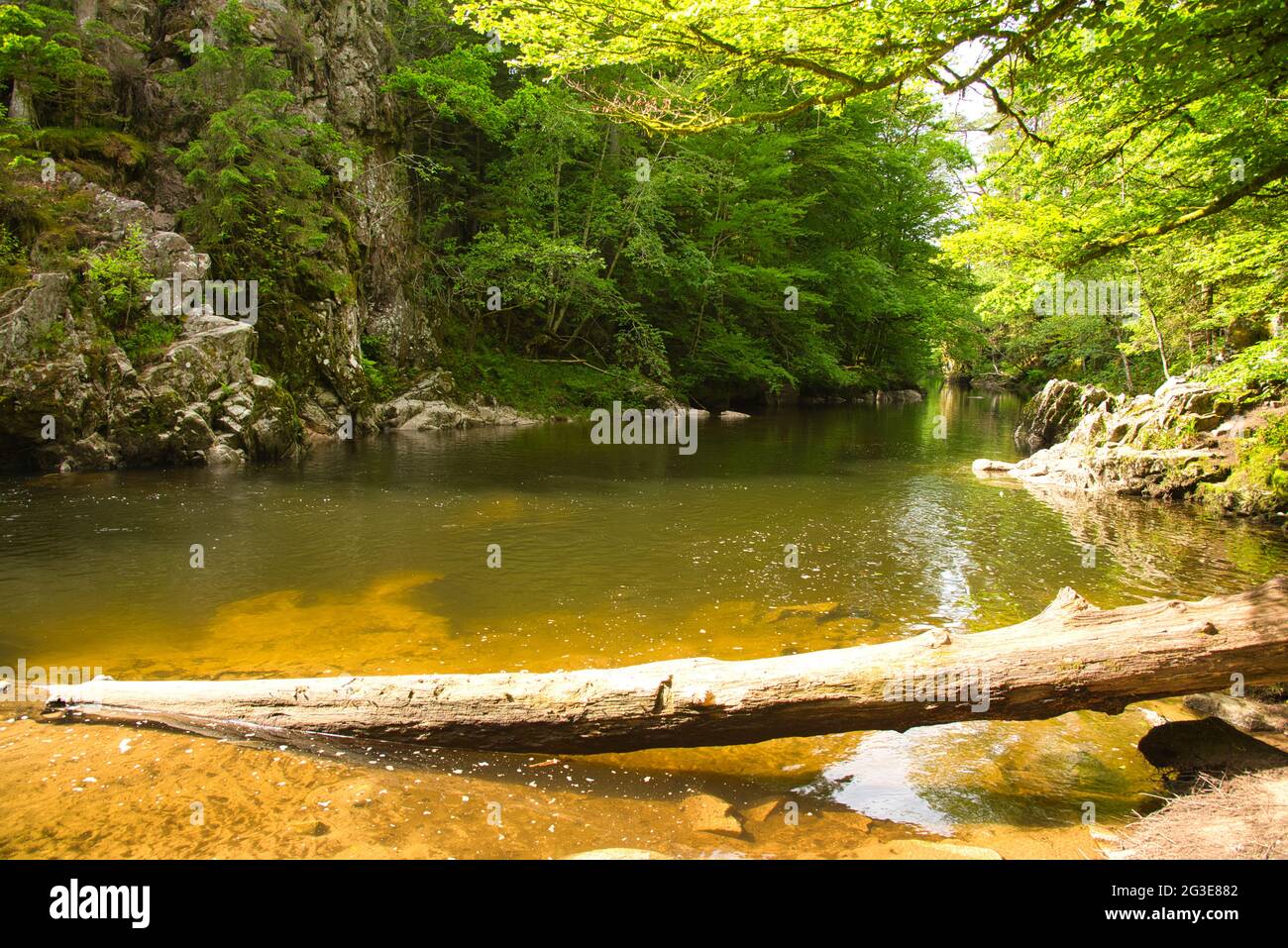 Gorges de Crosery in the Voges mountains in France Stock Photo - Alamy