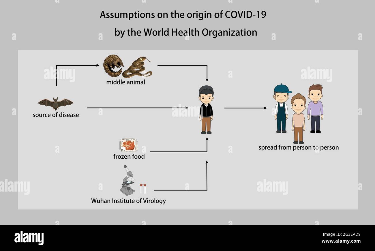 Assumptions on the origin of COVID-19. Hypothesis of WHO. Concept about ...
