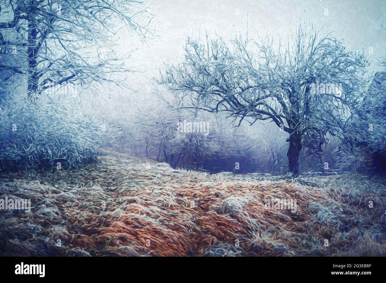 magic frozen trees and painting effect Stock Photo - Alamy