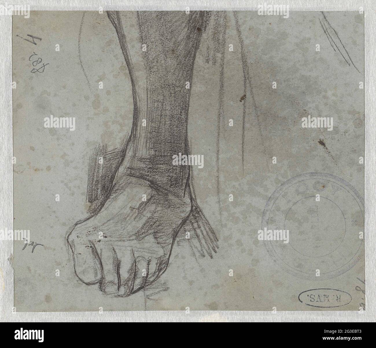Study of a left foot Stock Photo - Alamy