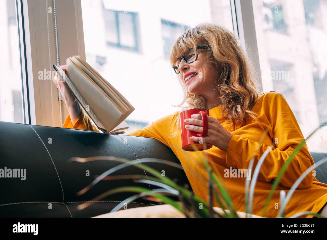 Focused caucasian woman reading book hi-res stock photography and ...