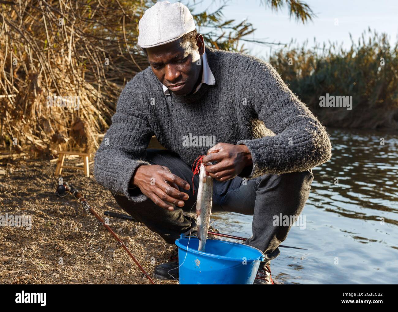 Man putting caught fish in bucket Stock Photo - Alamy