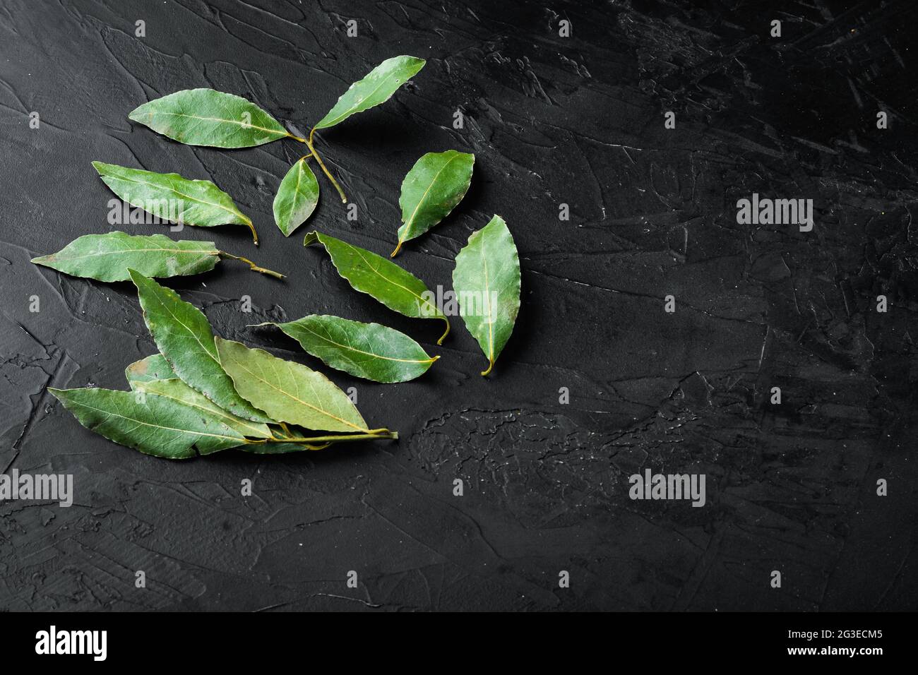 Fresh bay leaves set, on black stone background, with copy space for ...