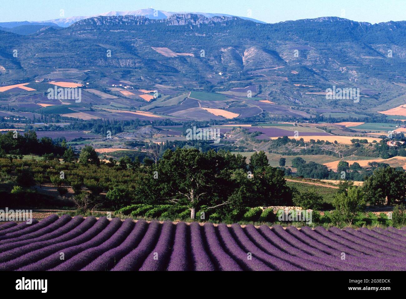 FRANCE. DROME (26) DROME (26) SAINTE-JALLE DROME PROVENCALE ((DROME OF ...