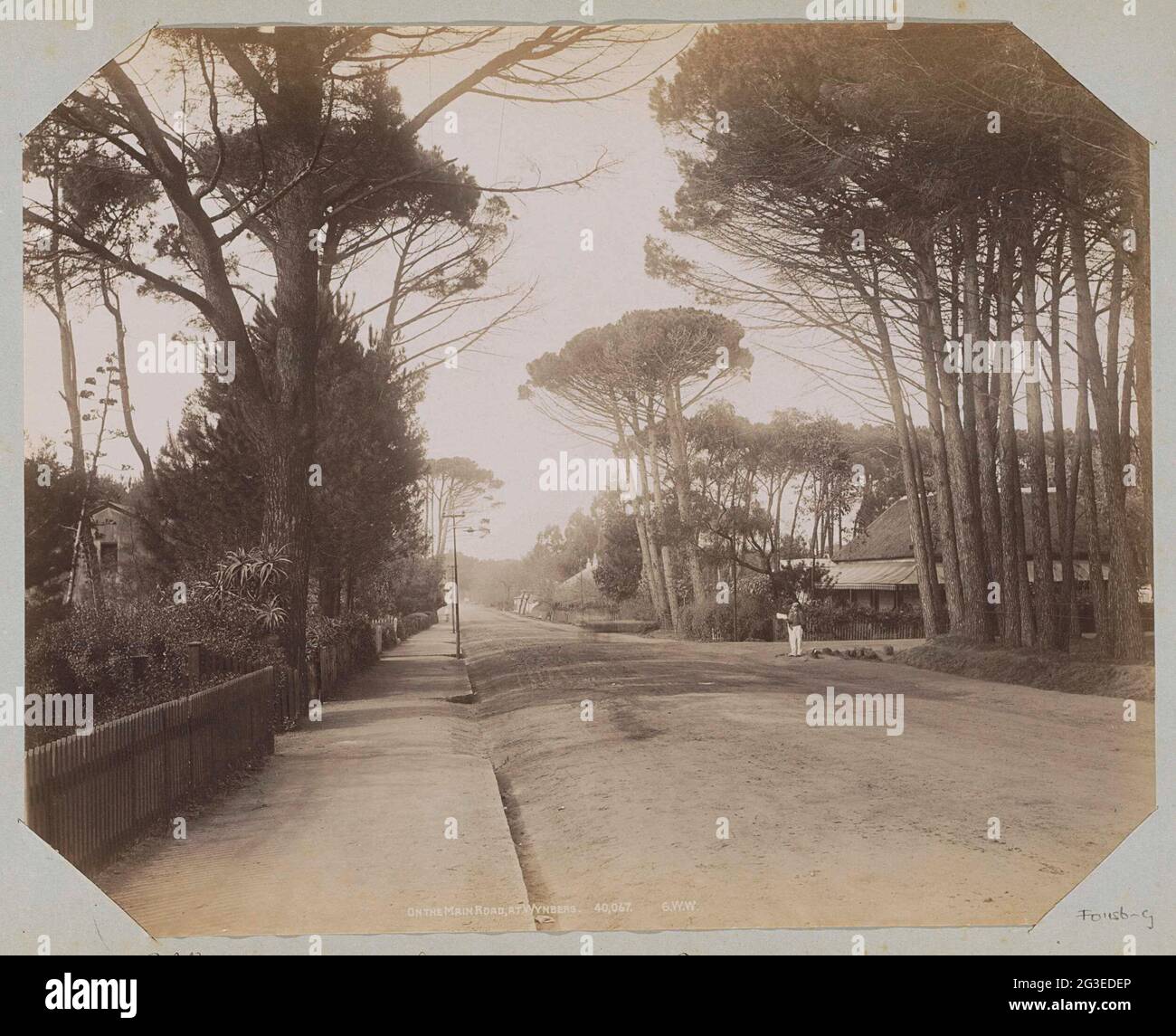 On the Main Road at Wynberg Stock Photo - Alamy