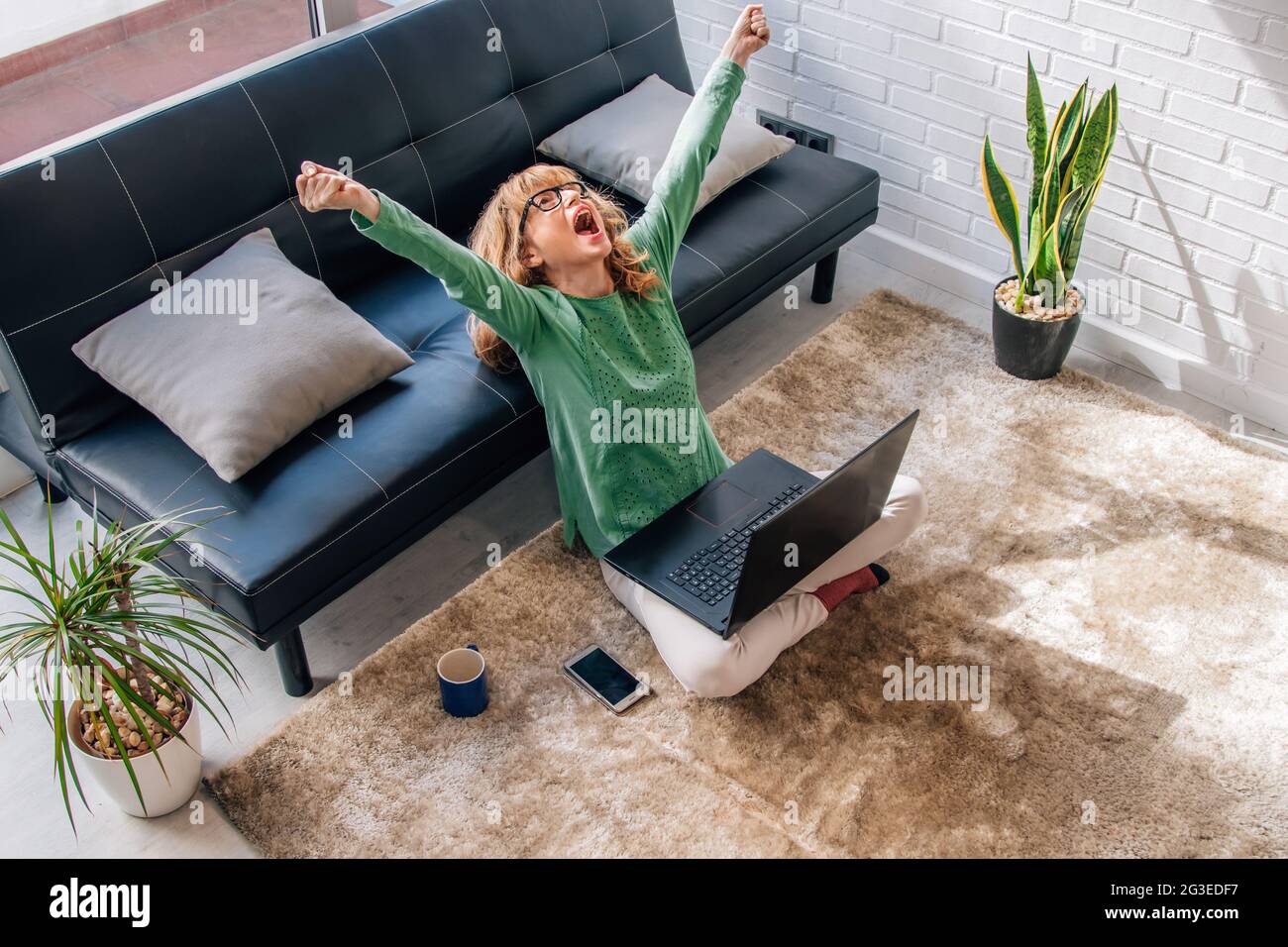 woman with computer at home celebrating success or triumph with joy ...