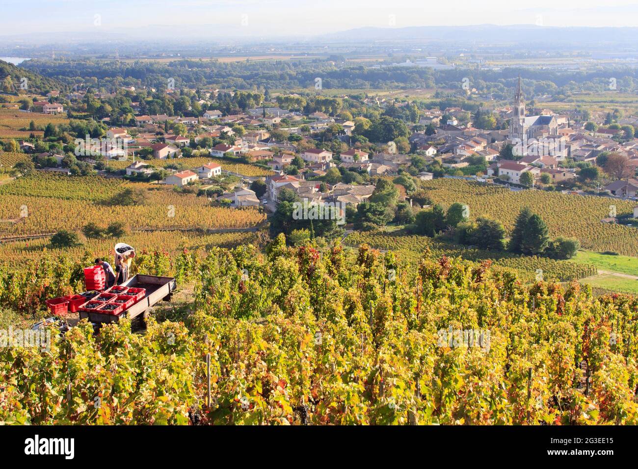 Rhône valley wine france hi-res stock photography and images - Alamy