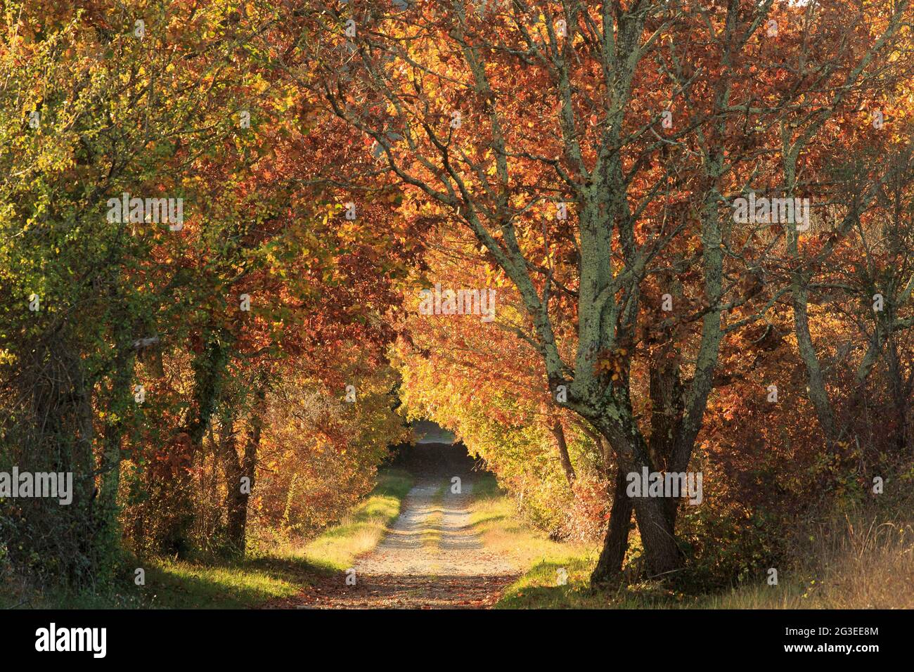 Banne path hi-res stock photography and images - Alamy