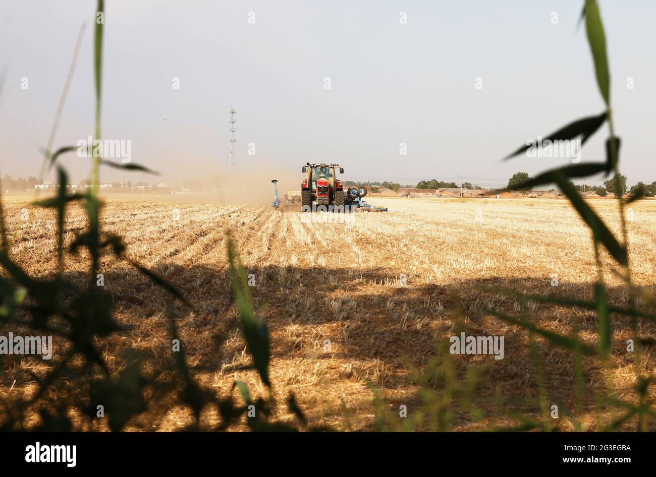 Zhengzhou, China's Henan Province. 5th June, 2021. A seeder sows corn ...