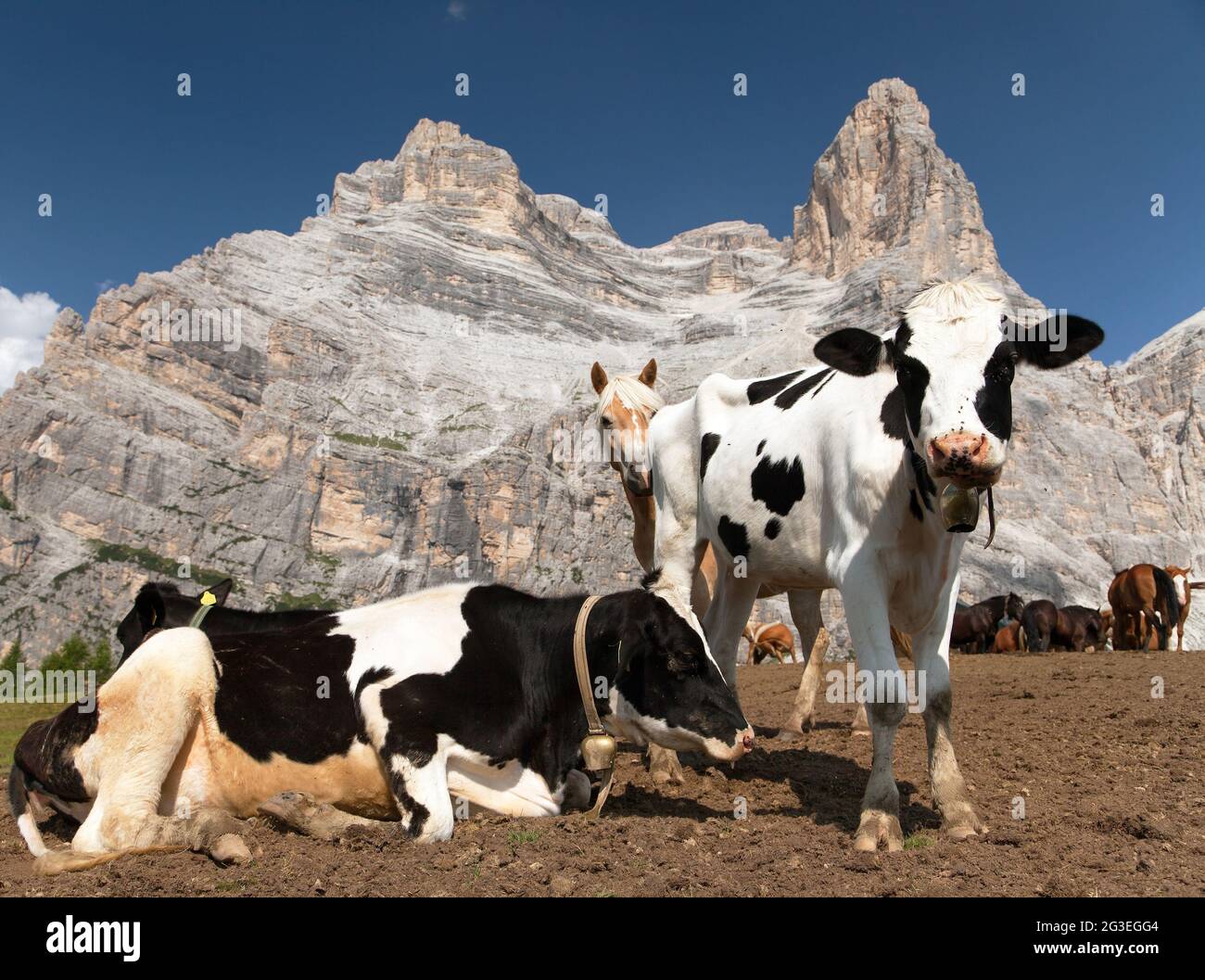 Monte pelmo dolomites italy hi-res stock photography and images - Alamy
