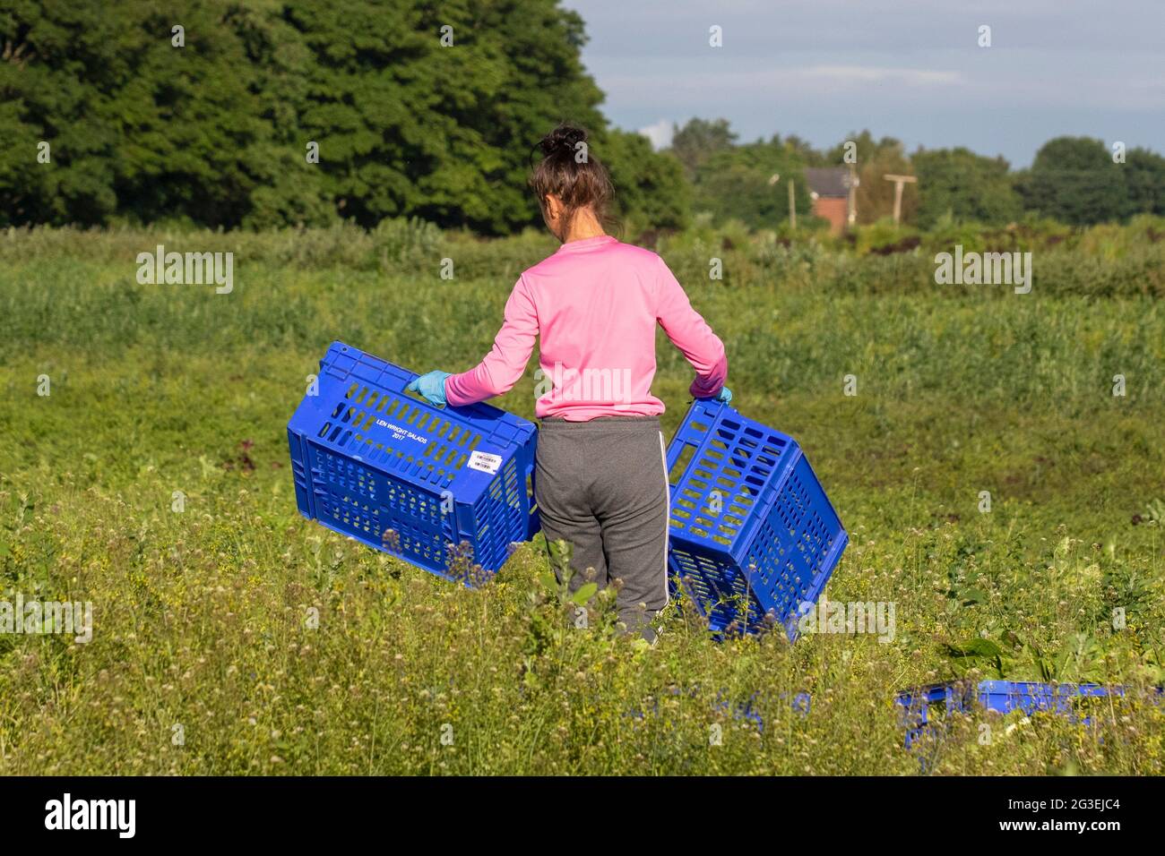 Ukrainian woman working migrant hi-res stock photography and images - Alamy