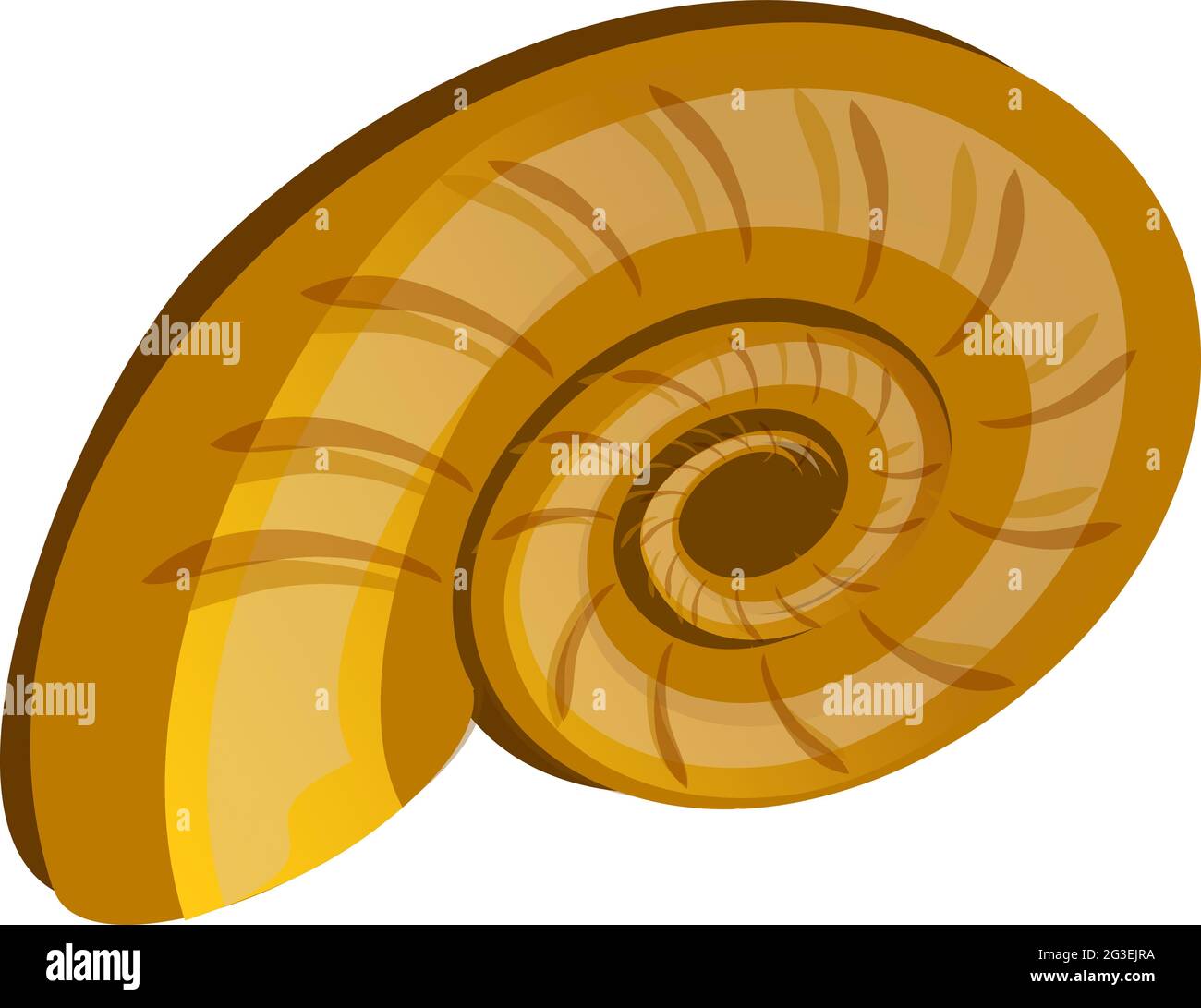 Shell. Isolated on white. Underwater world. Vector illustration Stock ...