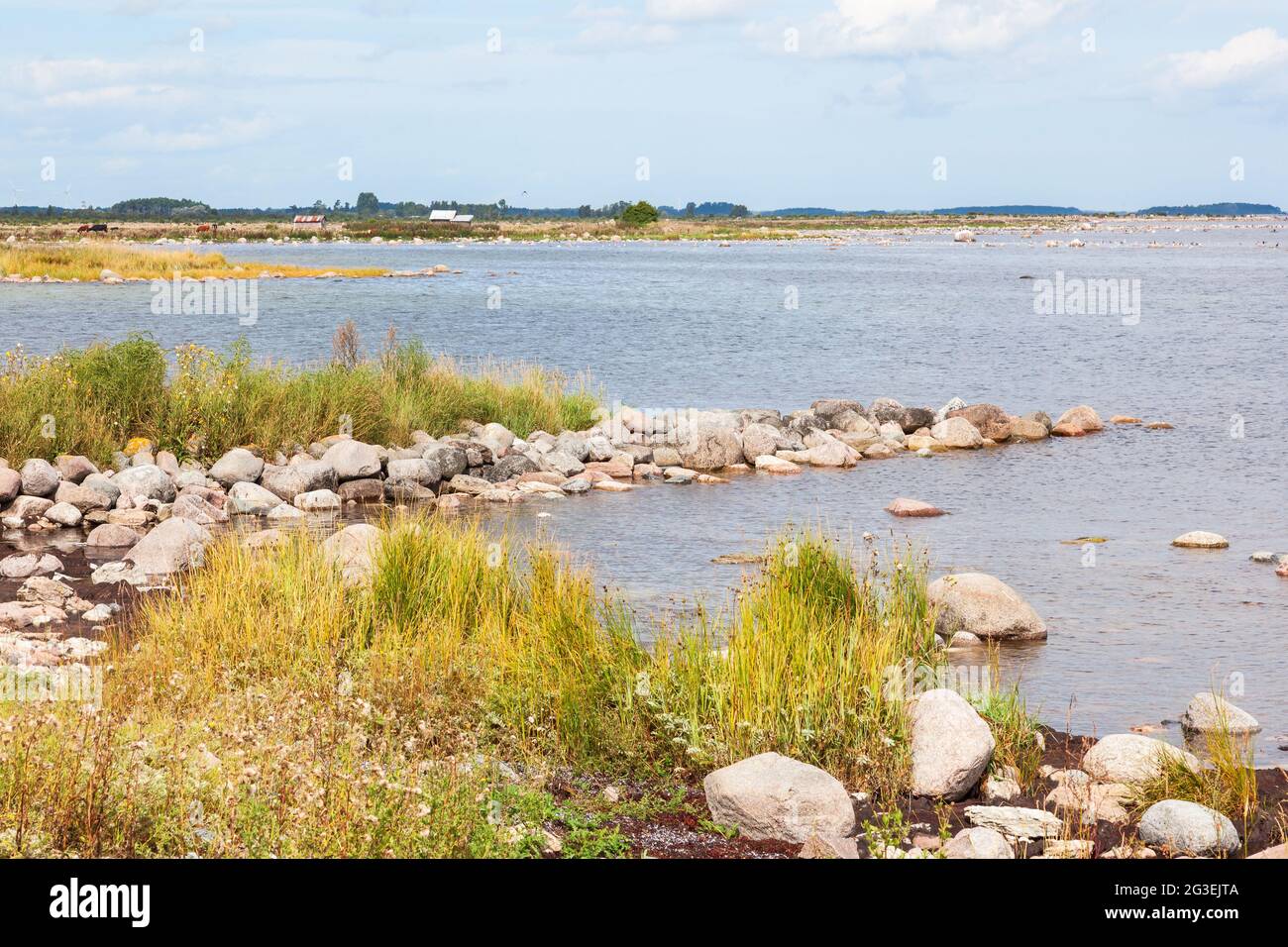 Beach meadows by the sea Stock Photo - Alamy