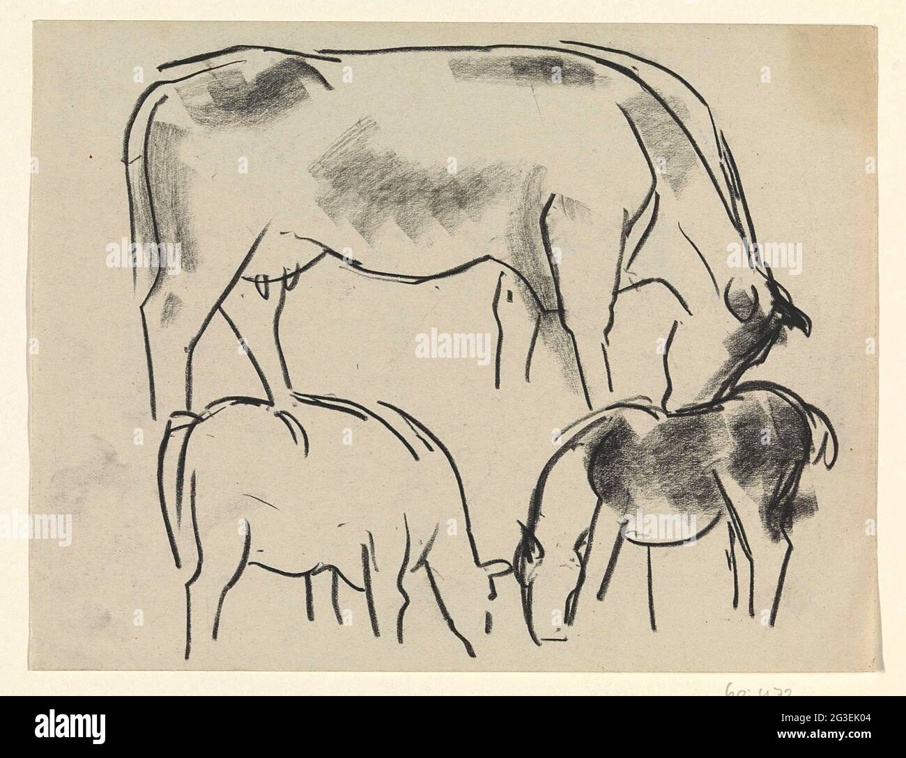 Sketches of cows hi-res stock photography and images - Alamy