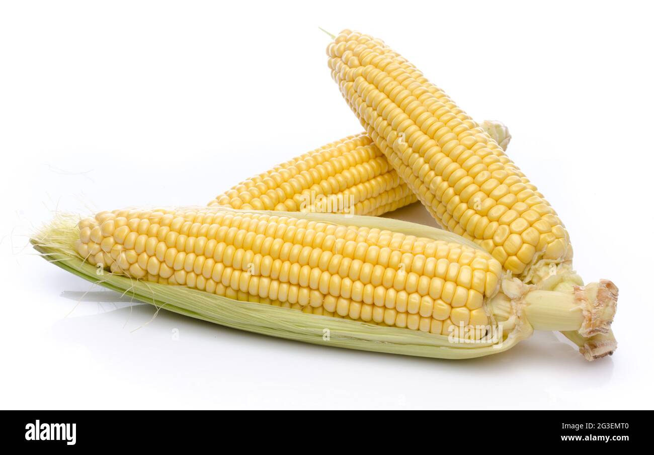 Fresh corn cob, isolated on white Stock Photo - Alamy