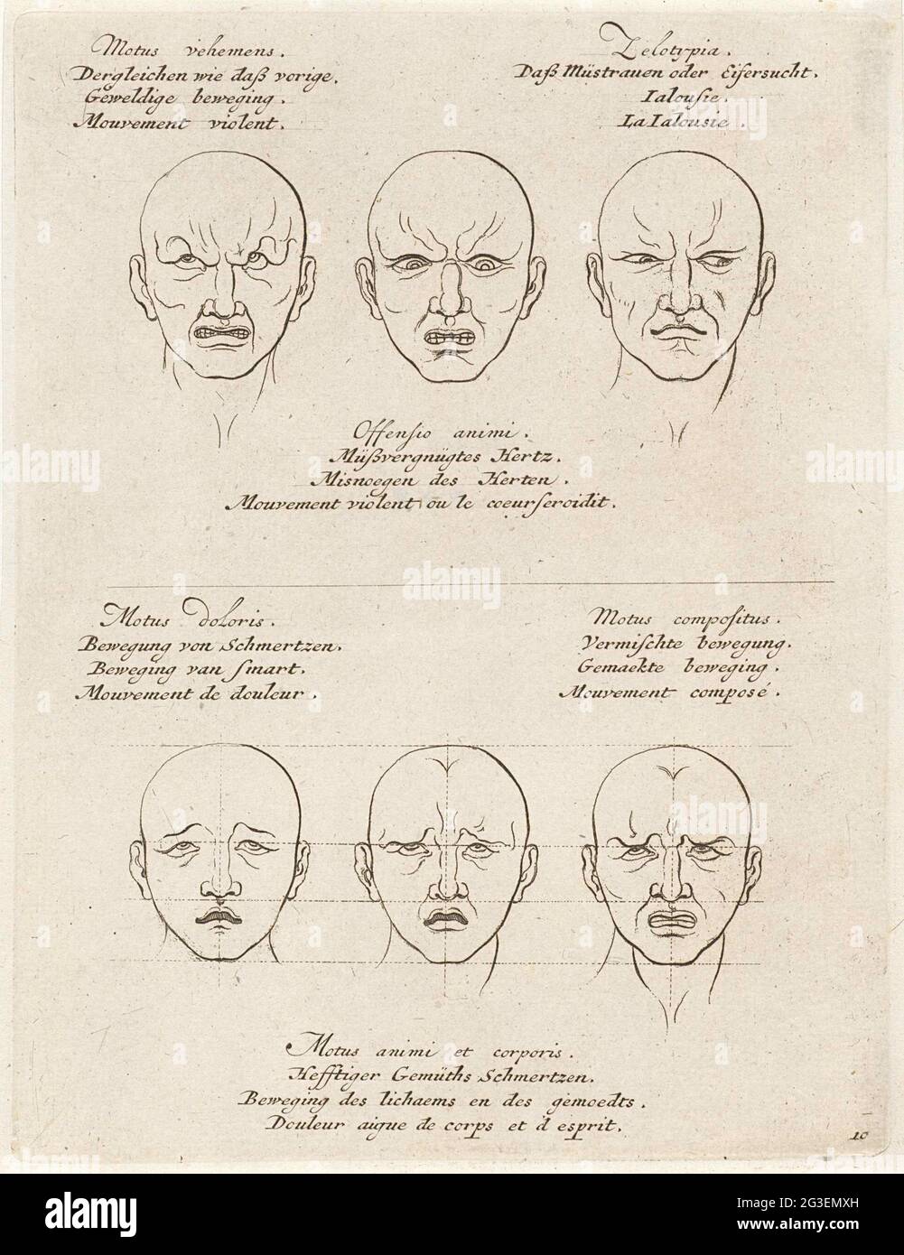 Facial expressions of great movement, misunderstood, jealousy and smart ...