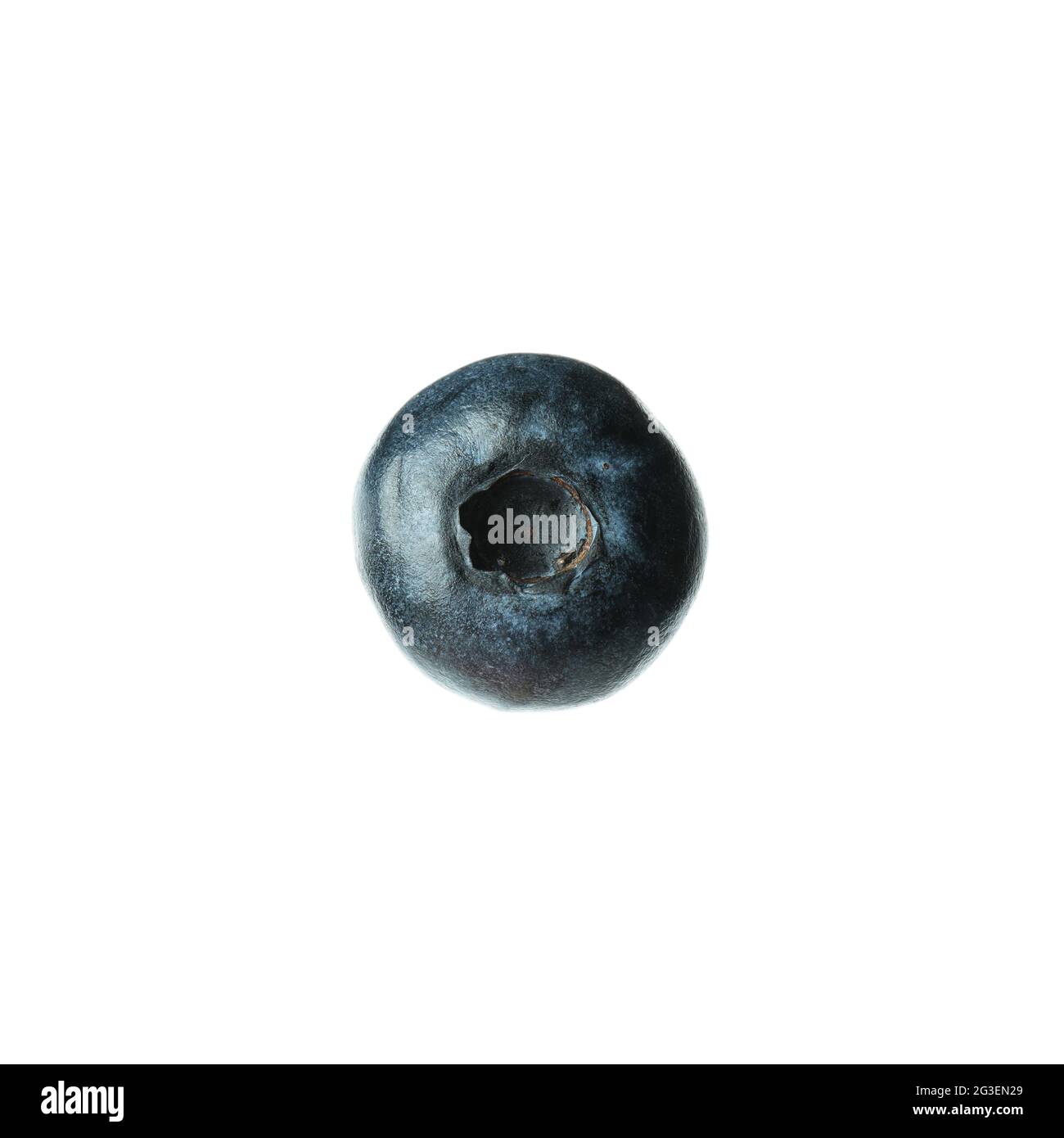 Fresh delicious blueberry isolated on white background Stock Photo - Alamy
