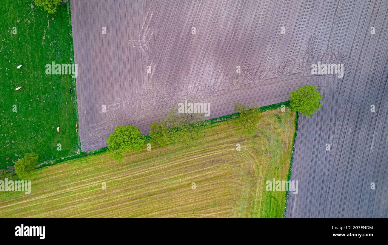 Beautiful natural Patterns of Farmfields in Countryside at Summer ...