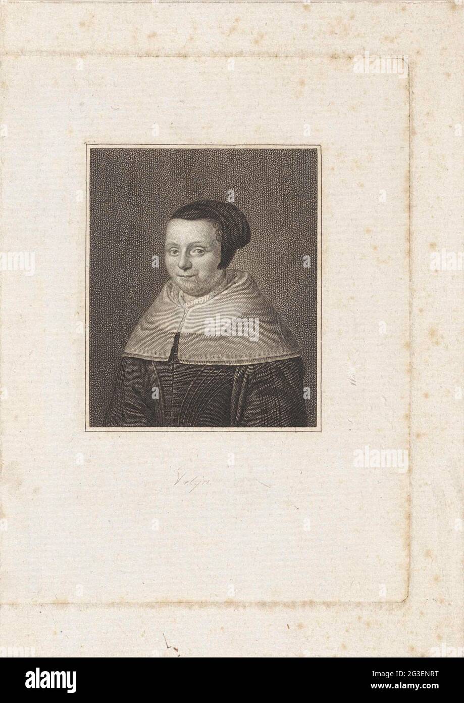 Portrait of alder from hollening. Portrait of alder of hugs, maid by ...