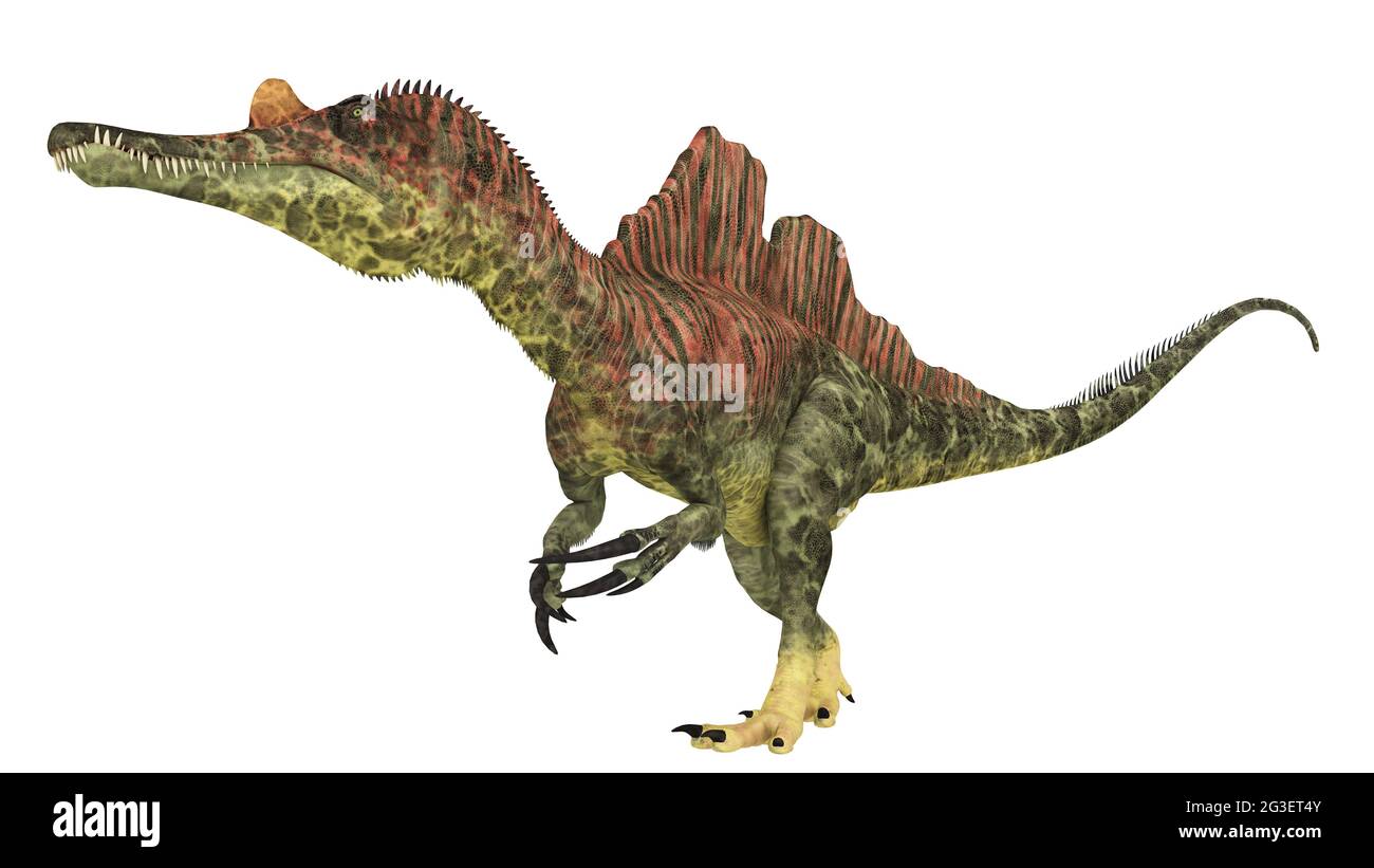 Dinosaur Ichthyovenator isolated on white background Stock Photo - Alamy